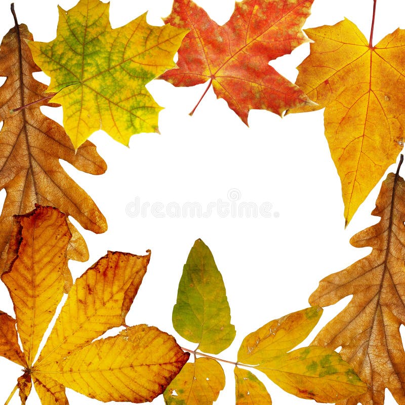 Autumn Frame Picture. Image: 6271856