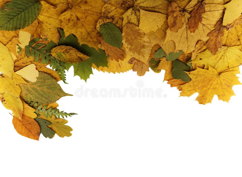 Autumn frame stock photo. Image of season, autumn, nature - 6887828