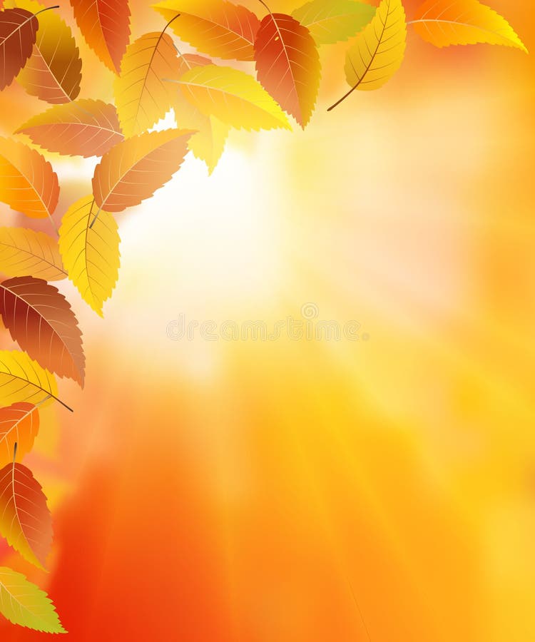Autumn frame background stock vector. Illustration of frame - 59025049