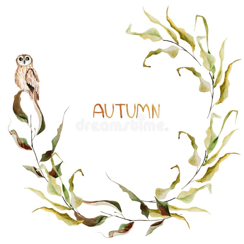 Autumn Frame Border with an Owl Watercolor Illustration Stock Image ...