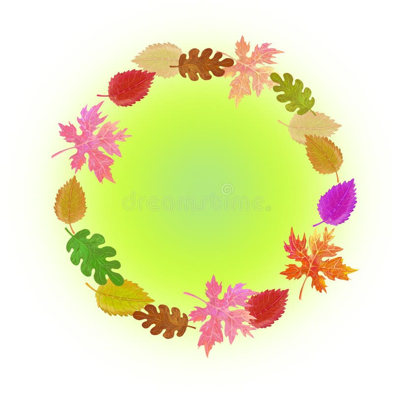 Autumn frame stock illustration. Illustration of leaf - 60625347