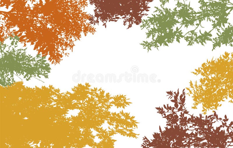 Autumn Frame of Deciduous Branches of Trees, Silhouette, Background ...