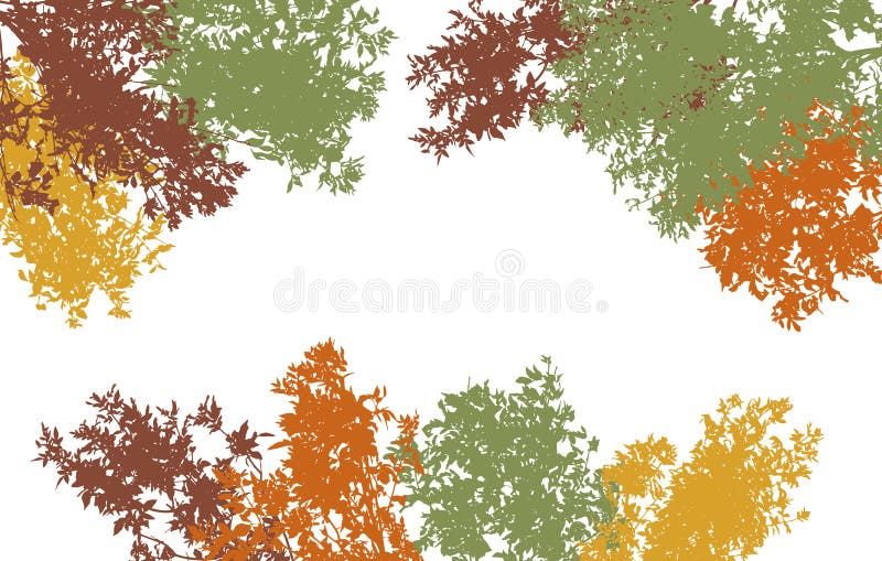Autumn Frame of Deciduous Branches of Trees, Silhouette, Background ...