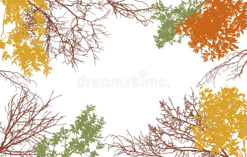 Autumn Frame of Deciduous Branches of Trees, Silhouette, Background ...