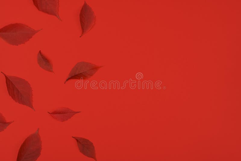 Autumn Frame with Monochrome Red Autumn Leaves Stock Image - Image of ...