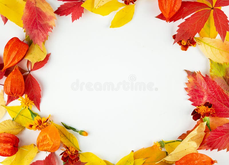 Autumn Frame of Multi-colored Leaves on a Light Background. Autumn ...