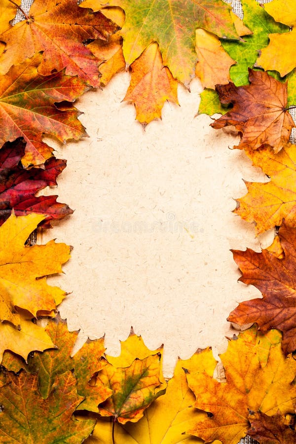 Autumn frame on paper stock photo. Image of copy, design - 25179736