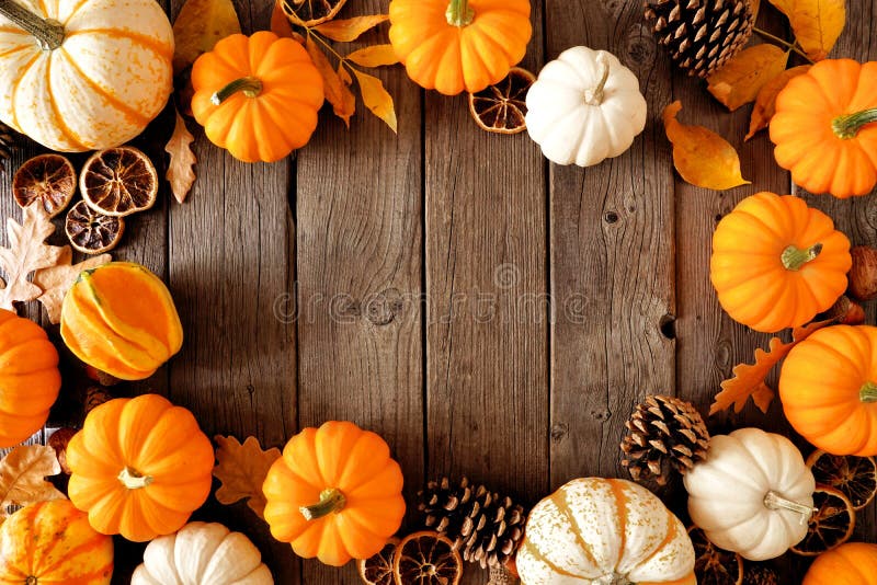 Autumn Frame of Pumpkins, Leaves and Natural Fall Decor on a White Wood ...