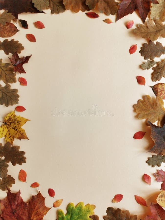 Autumn Frame for Text from Fallen Leaves on a Gentle Background. Autumn ...