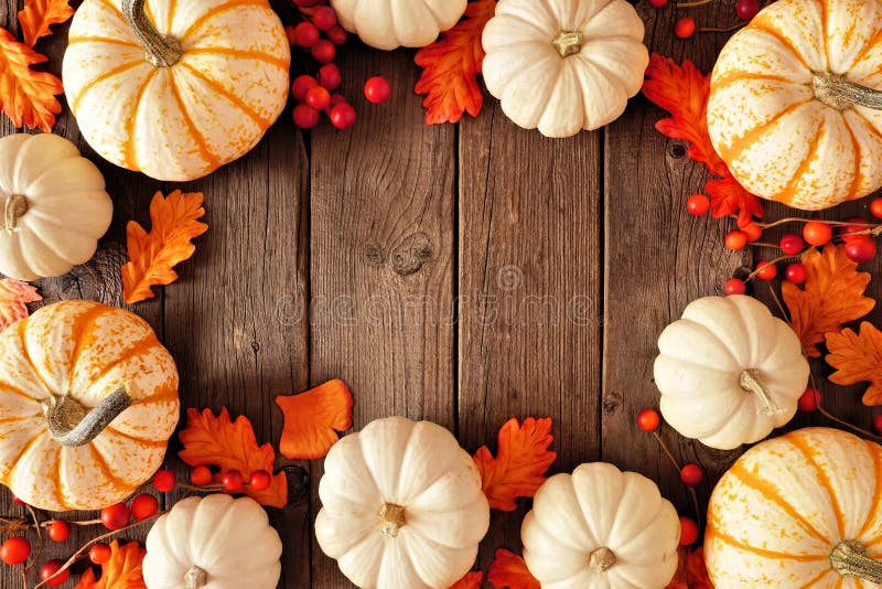 Fall Leaves and Natural Decor. Double Border Over a Dark Wood Banner ...