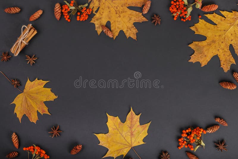 Autumn Frames and Fall Wall Papers. Autumn Background of Leaves Stock ...