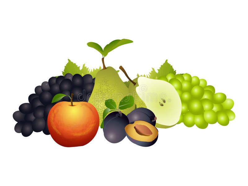 Autumn fresh fruits. stock illustration. Illustration of aple - 34302666