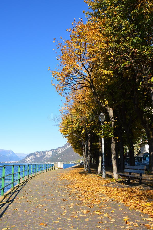 Autumn Front Lake with Yellow Leaves on Ground, Lake Como in Fall ...