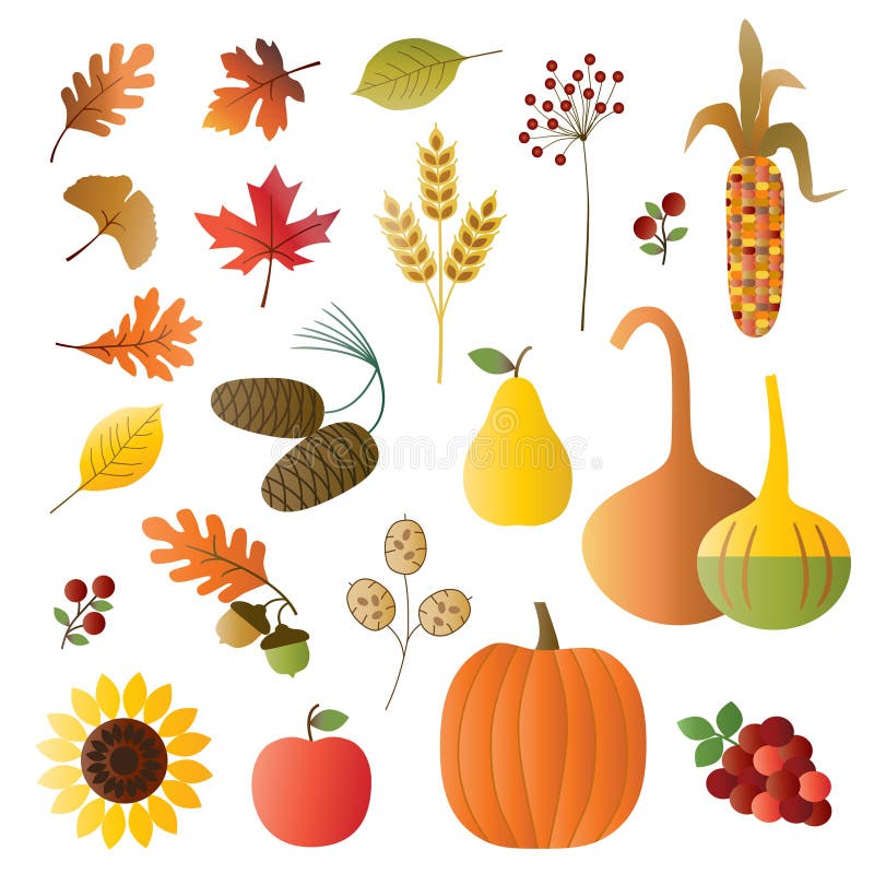 Autumn fruit and foliage stock illustration. Illustration of autumn ...