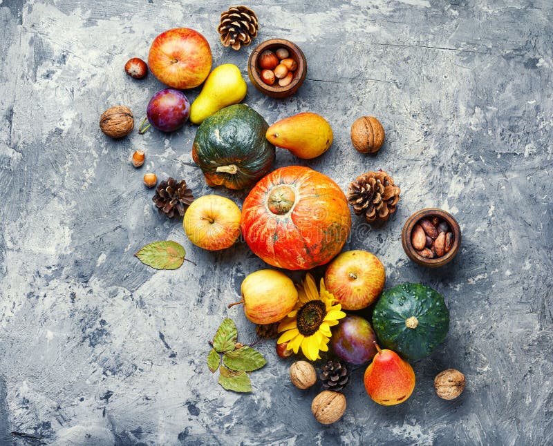 Autumn fruit still life stock image. Image of apple - 158478811