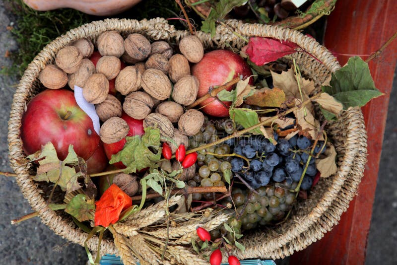 Autumn fruits stock photo. Image of fall, health, fruit - 16667988