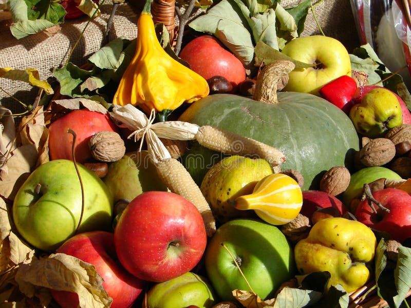 Autumn fruits stock image. Image of ecological, fall, nuts - 4164831