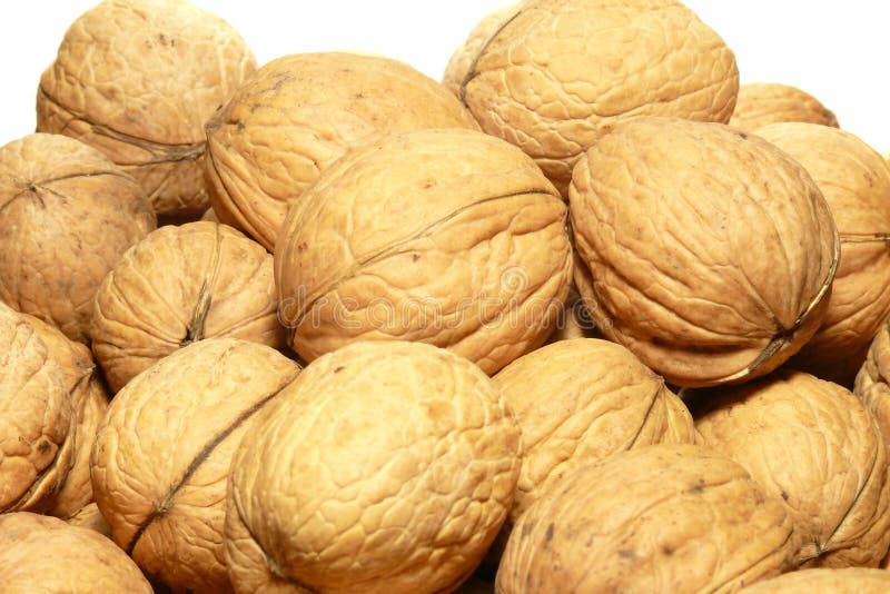 Autumn fruits stock photo. Image of walnuts, autumn, walnut - 7146190