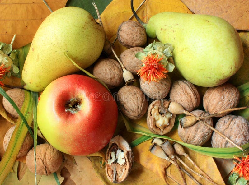 Autumn fruits and nuts stock image. Image of autumn, nuts - 11665455