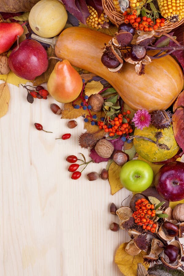 Autumn fruits stock image. Image of hazelnuts, fruits - 34205249