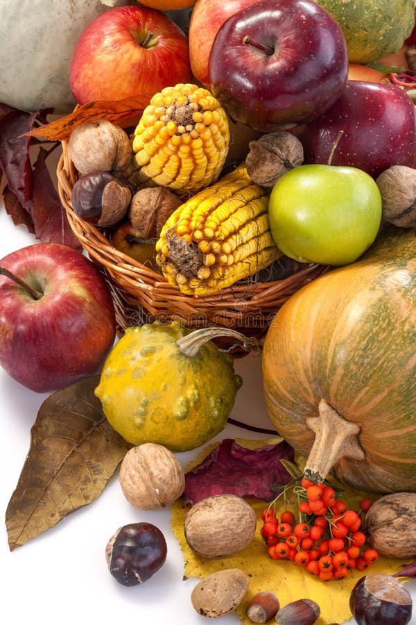 Autumn fruits stock image. Image of kitchen, orange, decorative - 34205733