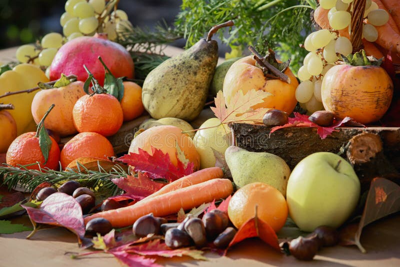 Autumn Fruits and Vegetables Stock Photo - Image of pumpkin, citrus ...
