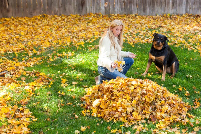 Autumn Fun stock photo. Image of garden, caucasian, black - 27272230