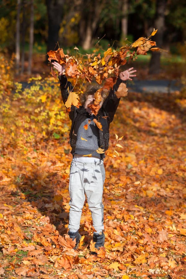 Jumping among Autumn Leaves. Stock Photo - Image of autumn, lifestyle ...