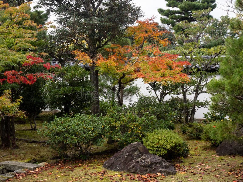 Autumn Garden in Japan with Maple Trees Changing Colors Stock Image ...
