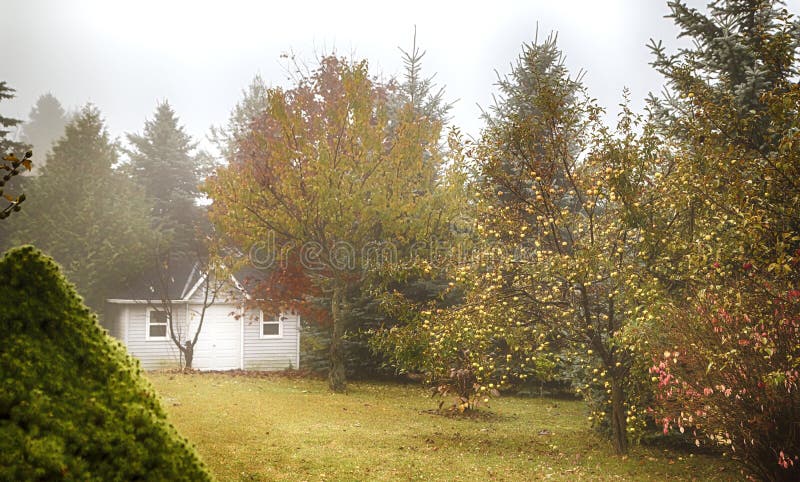 Autumn Garden in Morning Fog Stock Image - Image of seasonal, october ...