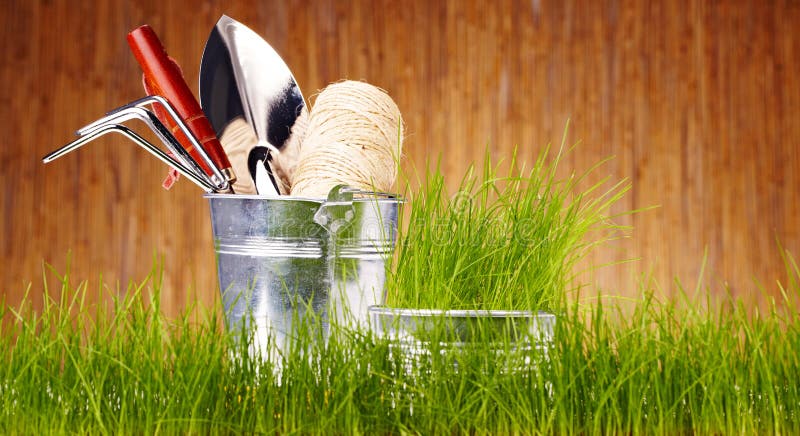 Autumn garden tools stock image. Image of fresh, copyspace - 26453401