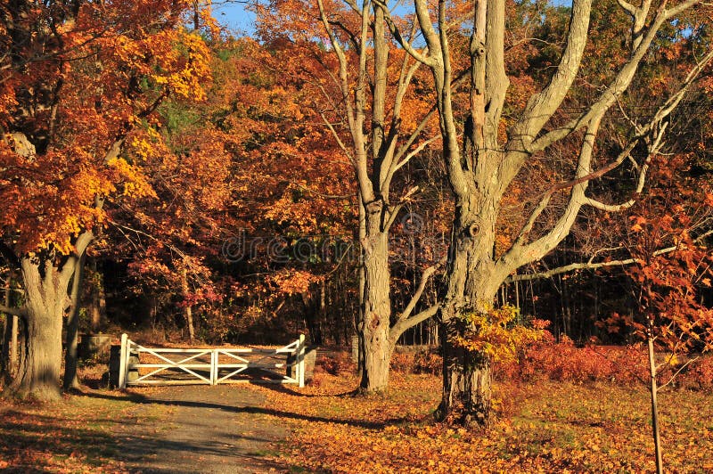Autumn Gate Landscape stock image. Image of beauty, autumn - 27277321