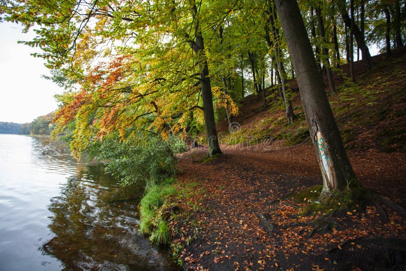Autumn in German Mountains and Forests - Some German Average Mountains ...