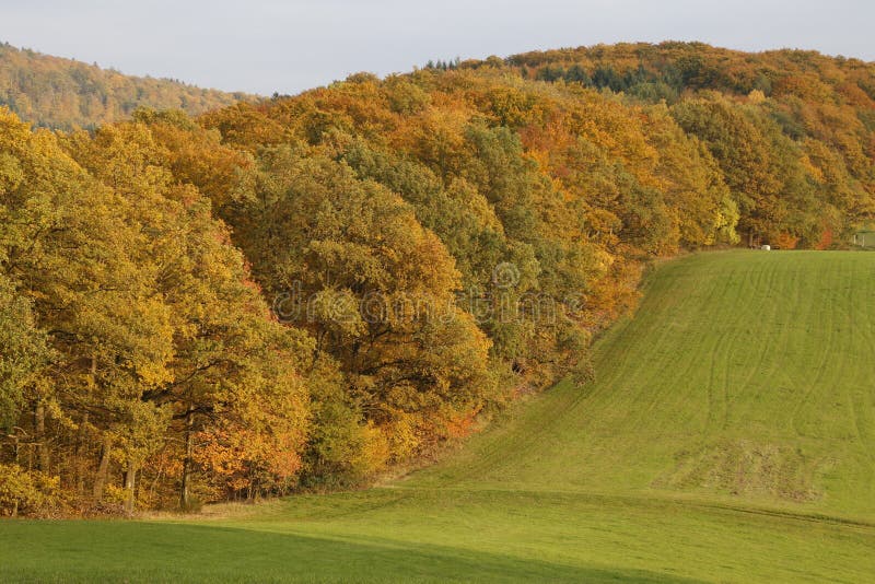 Autumn in German Region Odenwald Stock Photo - Image of golden ...