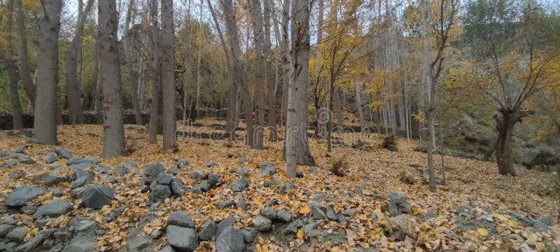 Ghizar Stock Photos - Free & Royalty-Free Stock Photos from Dreamstime