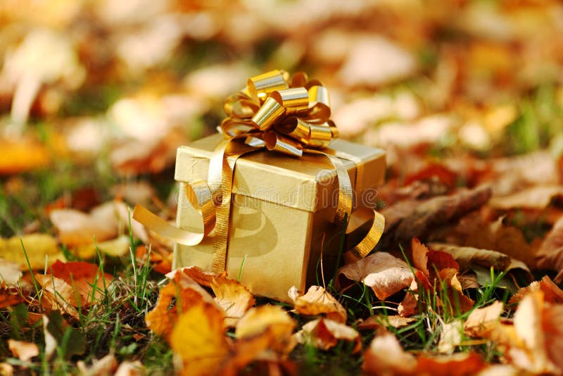 Autumn gift stock image. Image of giving, birthday, celebrate - 26237927