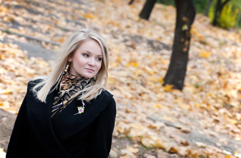 Autumn girl stock photo. Image of autumn, gorgeous, cheerful - 17521974