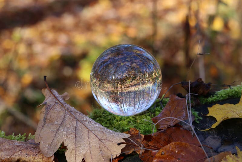 Autumn through a Glass Ball Stock Image - Image of dusk, fortune: 131597597