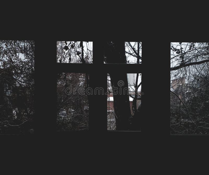 Autumn stock photo. Image of autumn, gloomy, window - 136033926