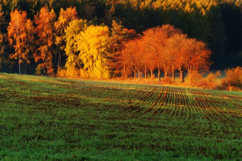 Autumn glow stock photo. Image of color, beautiful, outdoor - 28750580