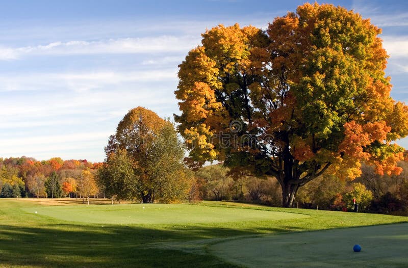 Autumn Golf Fairway stock image. Image of trees, autumn - 8367081