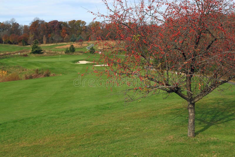 Autumn Mountain Golf Course Stock Image - Image of field, leisure: 21608527