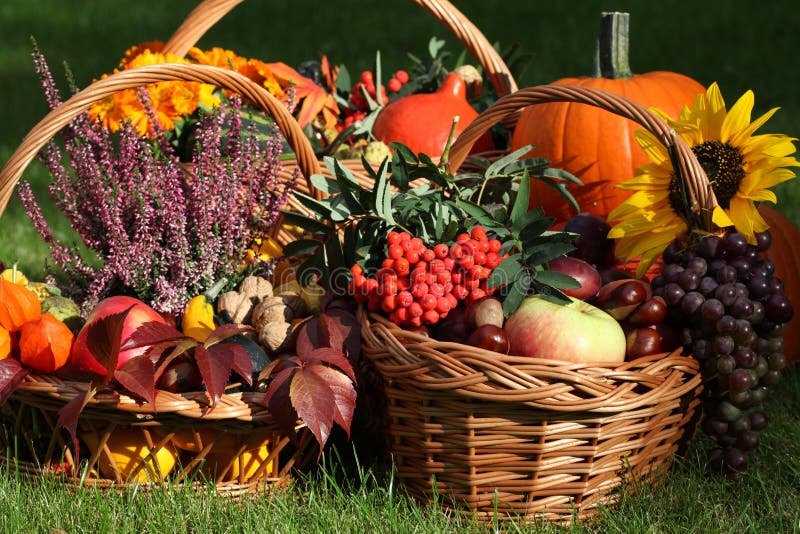 Autumn goodies stock image. Image of food, healthy, ingredients - 26963873
