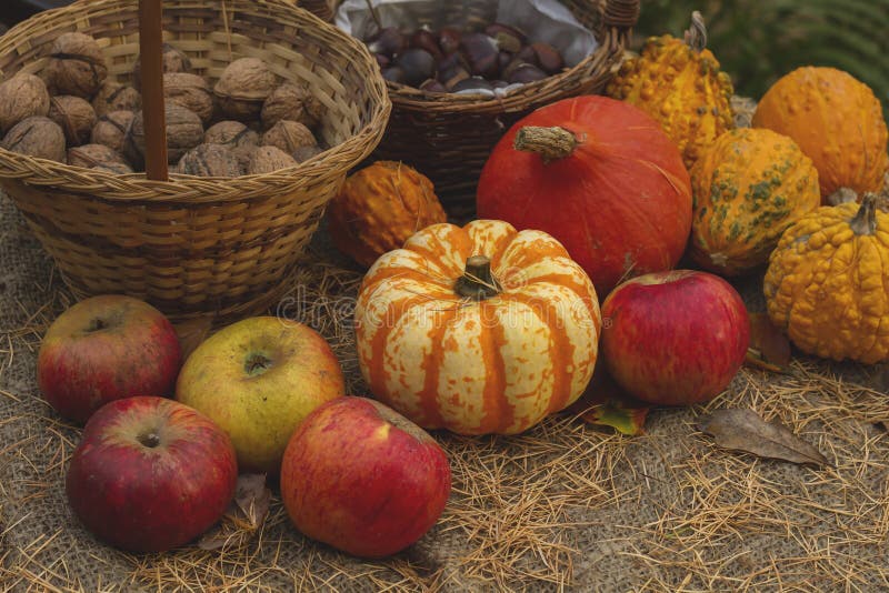 Autumn goods stock image. Image of autumnal, autumn, apples - 69919099