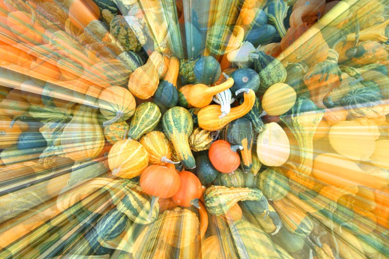 Autumn Gourd Variety Abstract Stock Image - Image of backgrounds, food ...