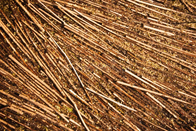 620+ Autumn grass texture Free Stock Photos - StockFreeImages