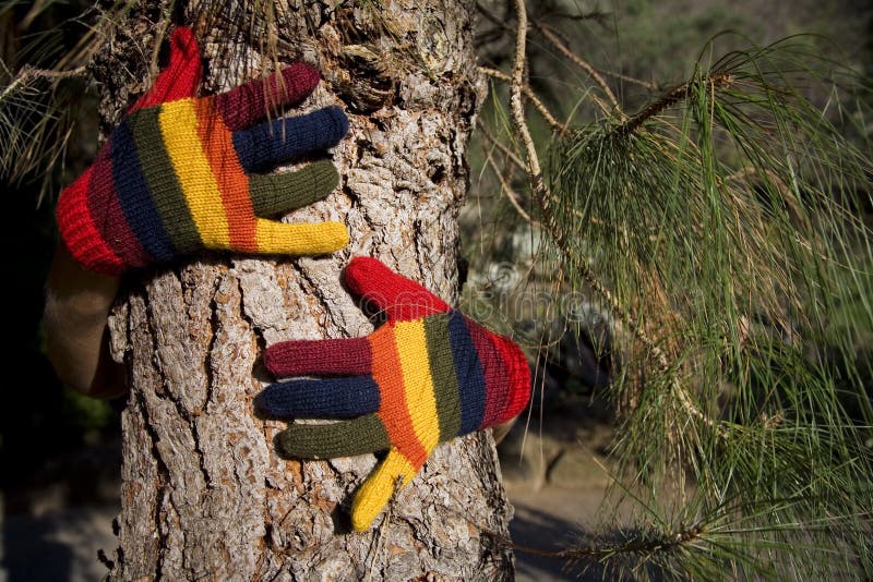 Autumn Hands on a Tree Trunk Stock Photo - Image of hands, nature: 11522152