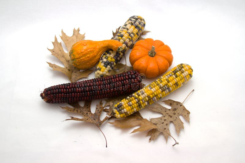 Autumn harvest stock image. Image of colour, exotic, popcorn - 16908101