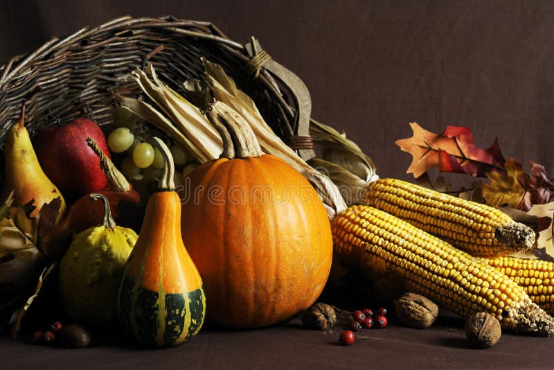 Autumn harvest stock image. Image of yellow, seasonal - 21633493