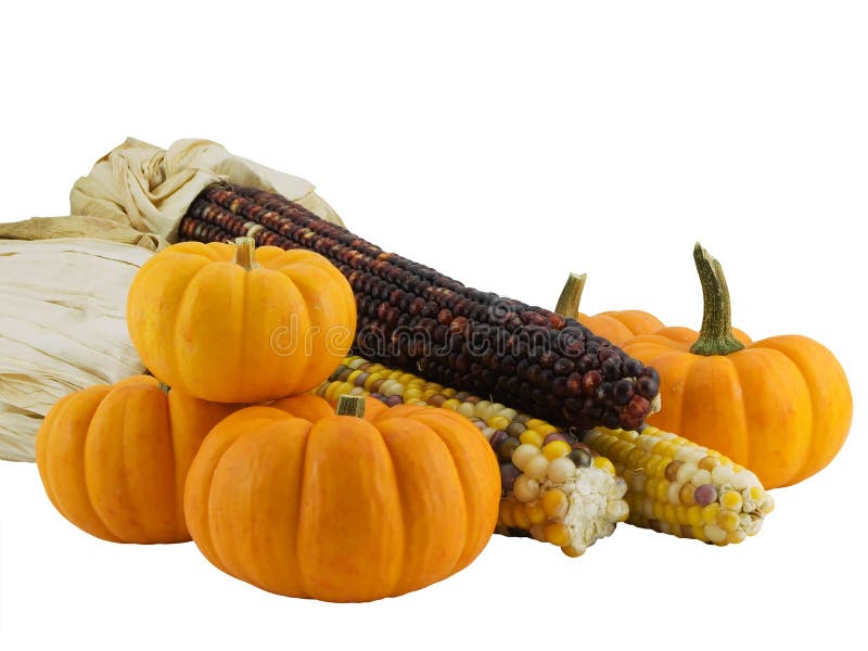 Autumn Harvest stock photo. Image of maize, gourd, autumn - 3239604